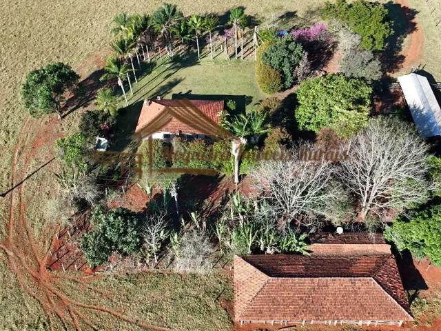 Sítio / Chácara para Venda em Itapetininga/SP Área Rural de Itapetininga