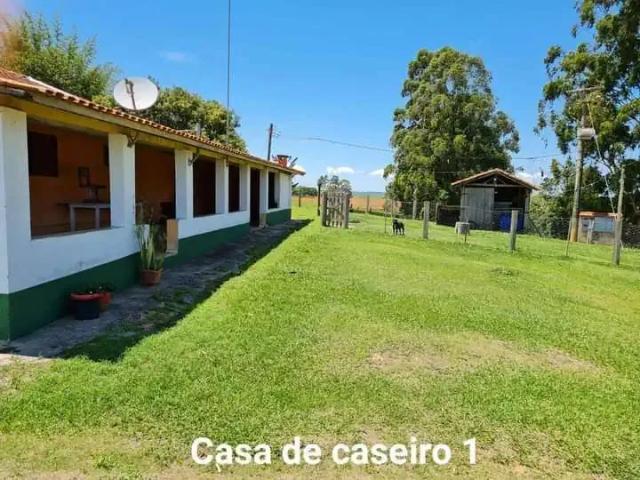 Sítio / Chácara para Venda em Itapetininga/SP Área Rural de Itapetininga 5 Quartos