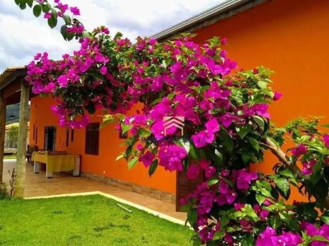 Sítio / Chácara para Venda em Itapeva/MG Centro 5 Quartos