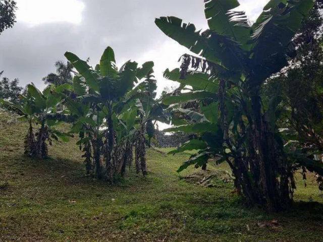 Sítio / Chácara para Venda em Itapecerica da Serra/SP Mombaça 3 Quartos