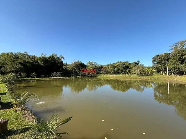 Sítio / Chácara para Venda em Itapira/SP Nova Itapira