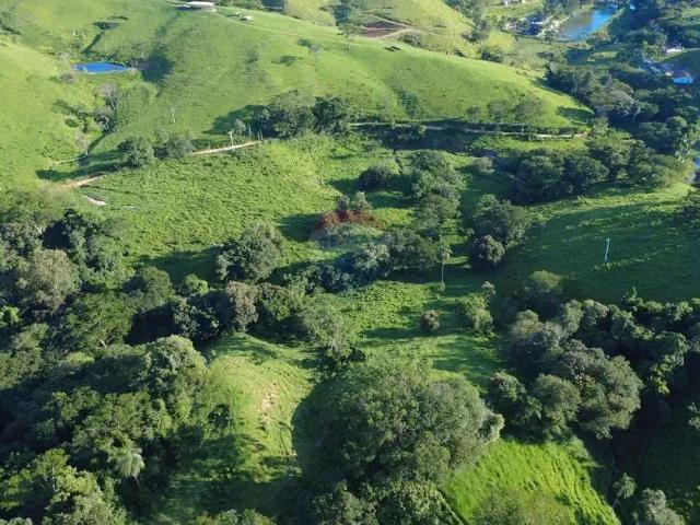 Sítio / Chácara para Venda em Itapira/SP Ponte Nova
