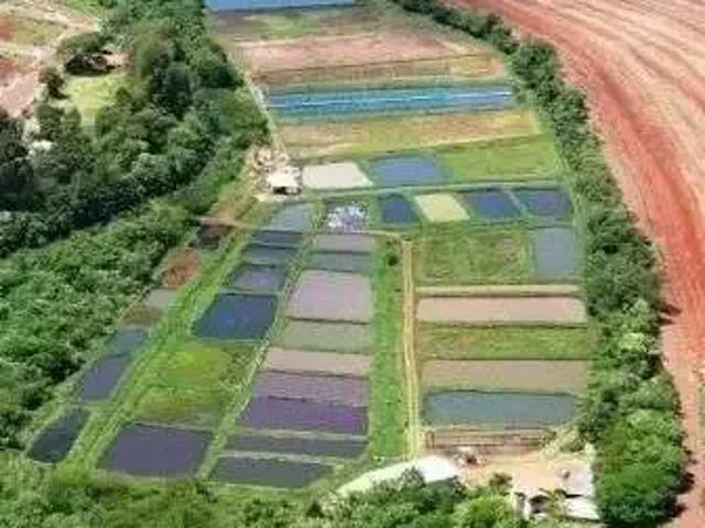Sítio / Chácara para Venda em Itapuranga/GO Setor Central