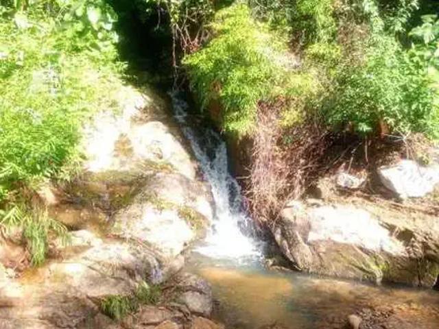 Sítio / Chácara para Venda em Itariri/SP Ana Dias