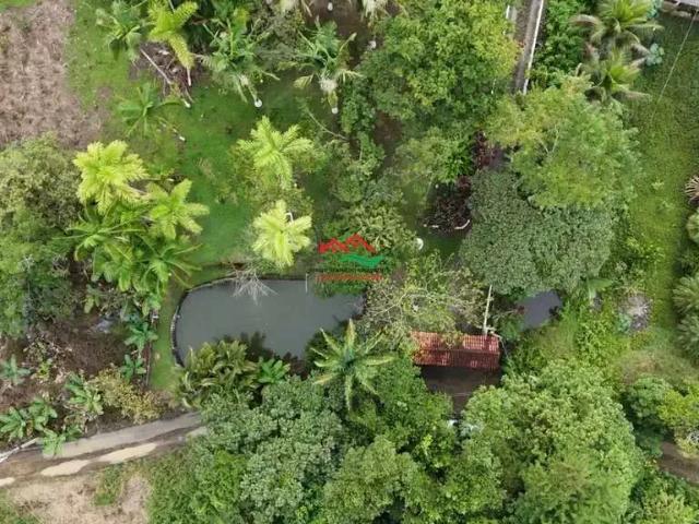 Sítio / Chácara para Venda em Itariri/SP Centro 3 Quartos