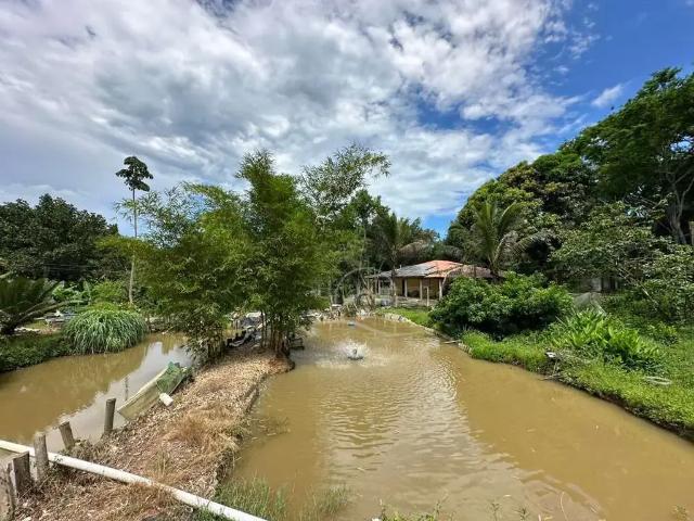 Sítio / Chácara para Venda em Itariri/SP Parque Serramar
