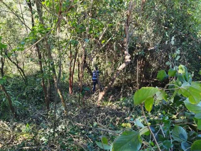 Sítio / Chácara para Venda em Itatiaiuçu/MG Centro