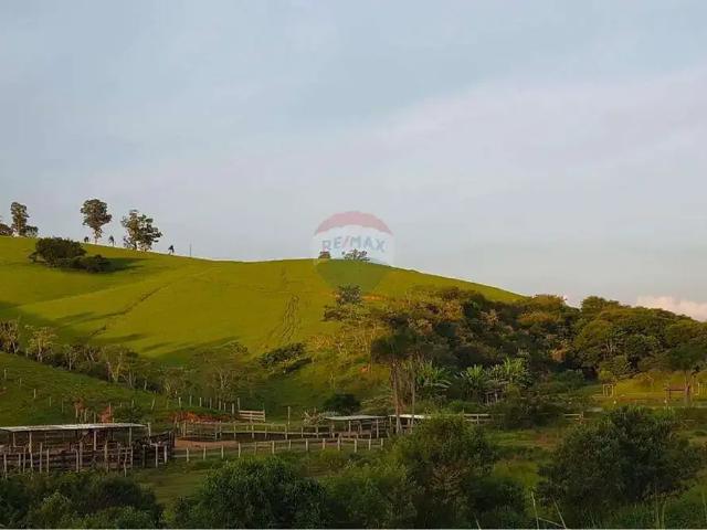 Sítio / Chácara para Venda em Itatiba/SP Bairro do Pinhal