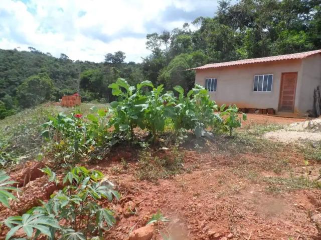 Sítio / Chácara para Venda em Itaverava/MG Zona Rural