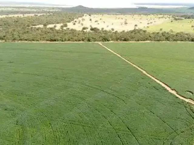Sítio / Chácara para Venda em Itiquira/MT Centro