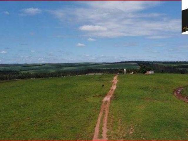 Sítio / Chácara para Venda em Ivaté/PR Zona Rural 3 Quartos