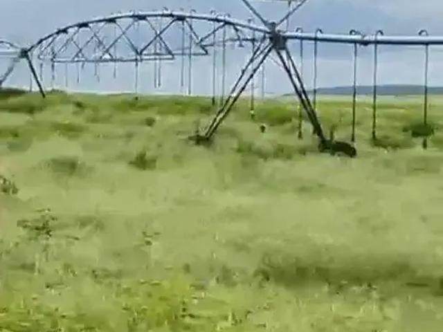 Sítio / Chácara para Venda em João Pinheiro/MG Zona Rural