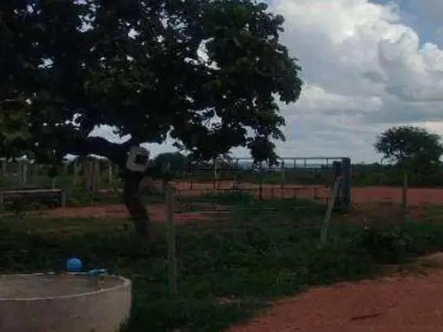 Sítio / Chácara para Venda em João Pinheiro/MG Zona Rural