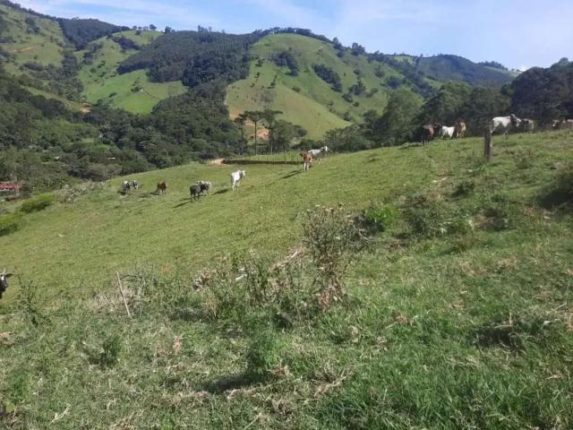 Sítio / Chácara para Venda em Joanópolis/SP Bairro dos Pintos 1 Quartos