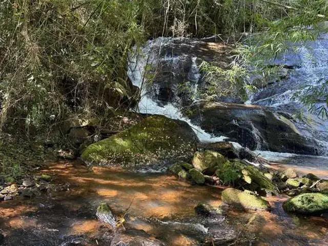 Sítio / Chácara para Venda em Joanópolis/SP Bairro dos Pretos