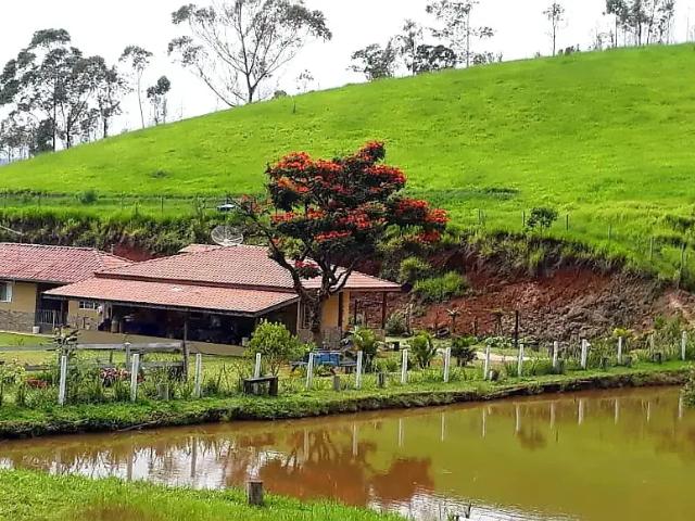 Sítio / Chácara para Venda em Joanópolis/SP Centro 4 Quartos