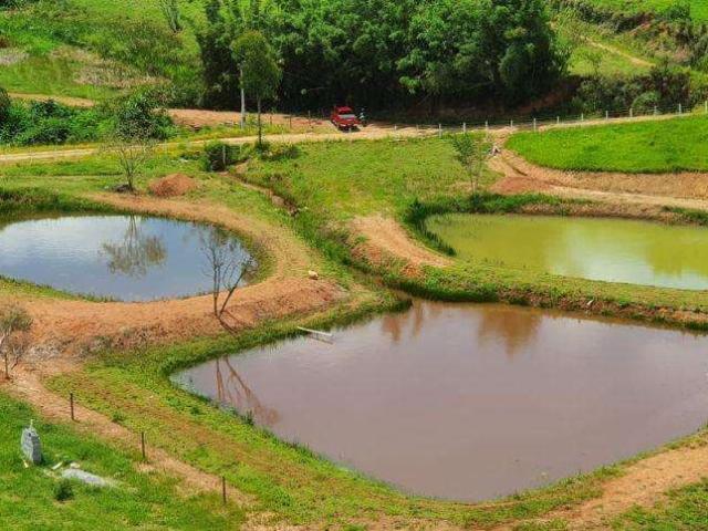 Sítio / Chácara para Venda em Joanópolis/SP Zona Rural