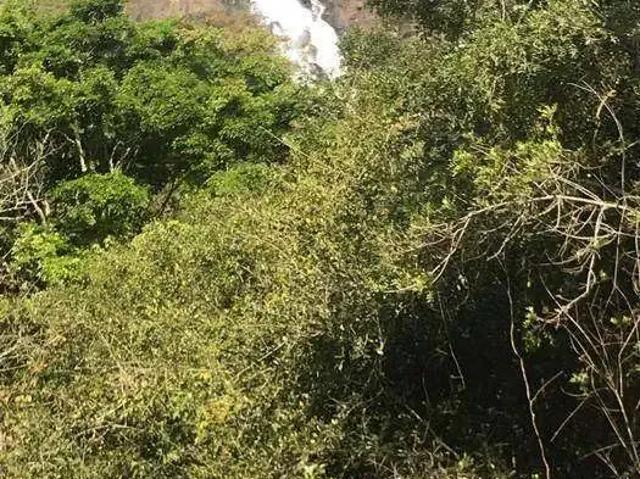 Sítio / Chácara para Venda em Joanópolis/SP Zona Rural