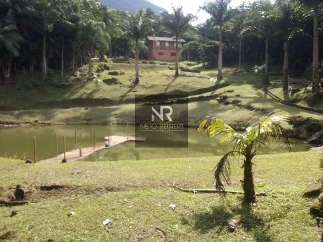 Sítio / Chácara para Venda em Joinville/SC Dona Francisca 6 Quartos