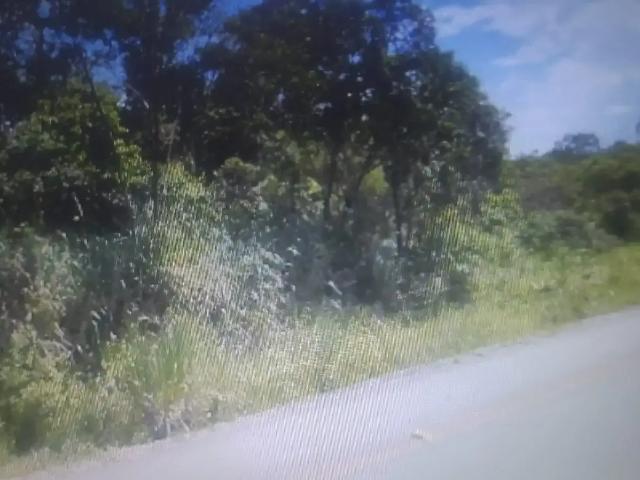 Sítio / Chácara para Venda em Joinville/SC Vila Cubatão