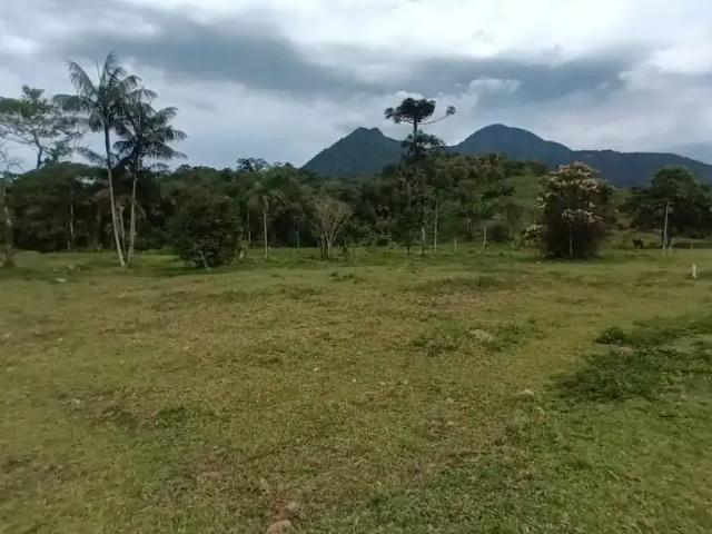 Sítio / Chácara para Venda em Joinville/SC Vila Nova