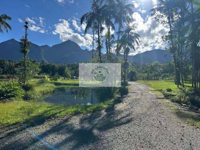 Sítio / Chácara para Venda em Joinville/SC Vila Nova 1 Quartos