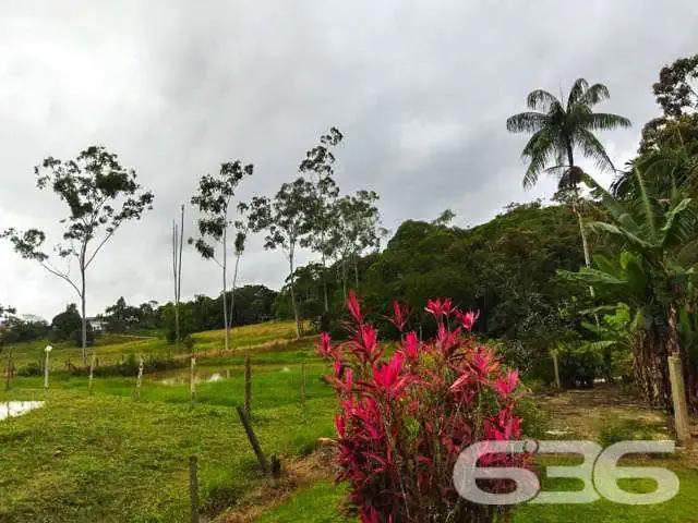 Sítio / Chácara para Venda em Joinville/SC Vila Nova 3 Quartos