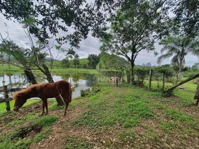 Sítio / Chácara para Venda em Joinville/SC Vila Nova 4 Quartos
