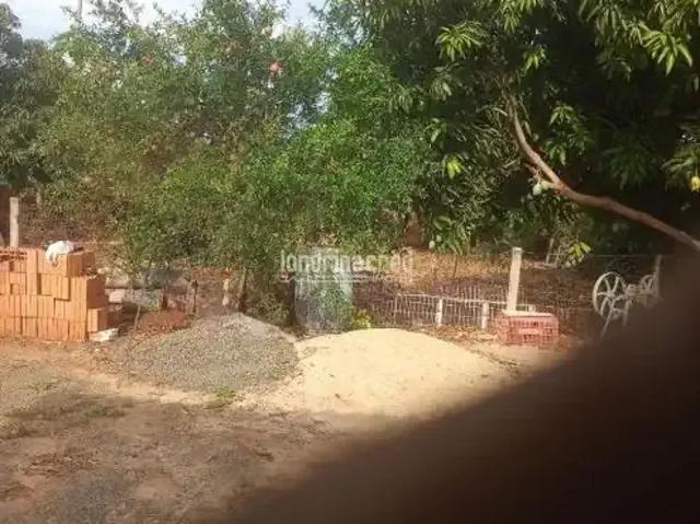 Sítio / Chácara para Venda em Jataizinho/PR Centro