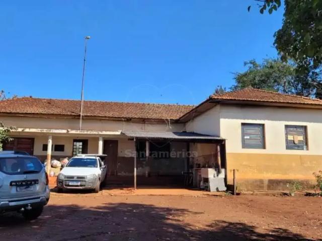 Sítio / Chácara para Venda em Jataizinho/PR Centro 3 Quartos