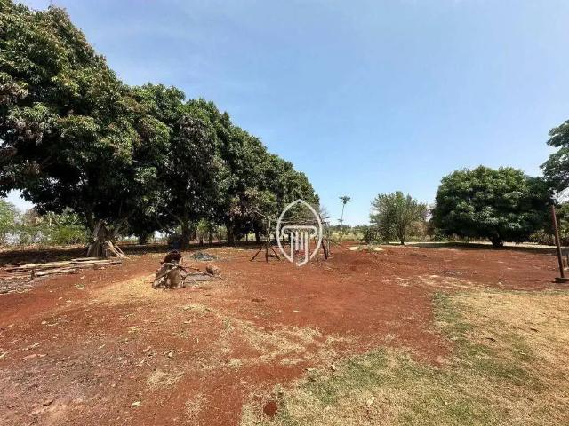 Sítio / Chácara para Venda em Jataizinho/PR Frei Timóteo 2 Quartos