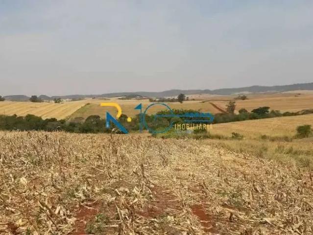 Sítio / Chácara para Venda em Jataizinho/PR Zona Rural