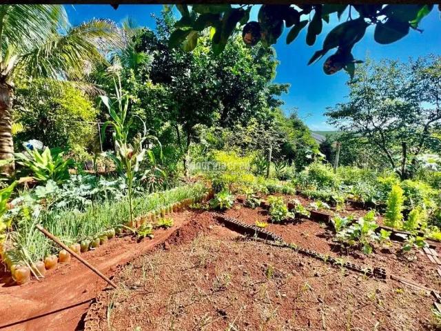 Sítio / Chácara para Venda em Jataizinho/PR Zona Rural 2 Quartos
