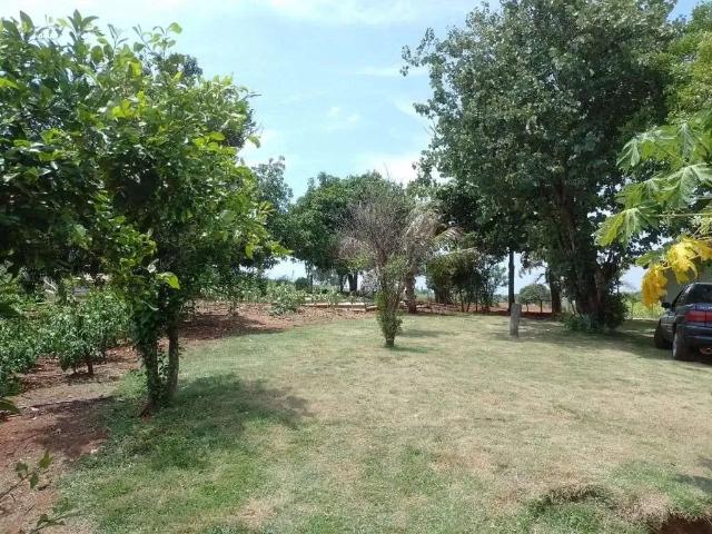 Sítio / Chácara para Venda em Jataizinho/PR Zona Rural 2 Quartos