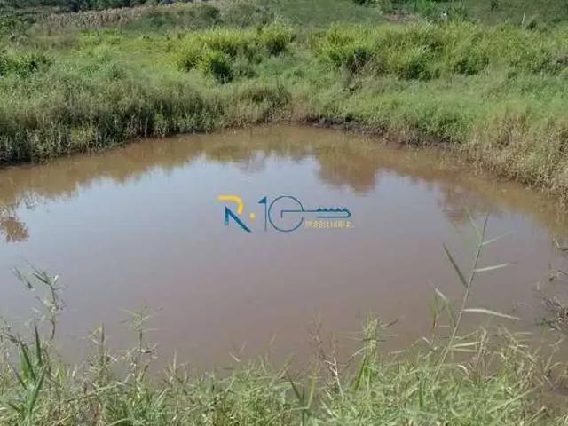 Sítio / Chácara para Venda em Jataizinho/PR Zona Rural