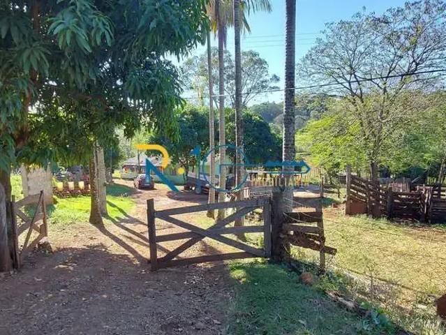Sítio / Chácara para Venda em Jataizinho/PR Zona Rural