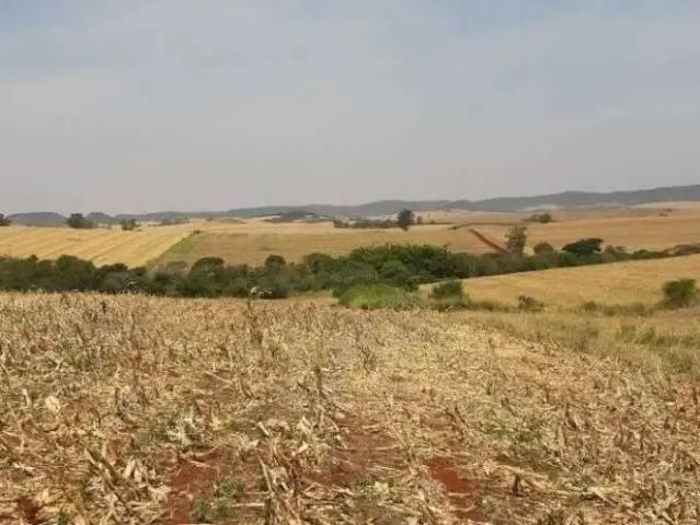 Sítio / Chácara para Venda em Jataizinho/PR Zona Rural