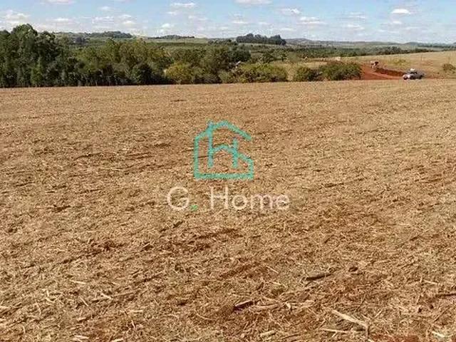 Sítio / Chácara para Venda em Jataizinho/PR Zona Rural