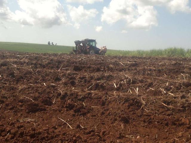 Sítio / Chácara para Venda em Jaú/SP Área Rural de Jaú 3 Quartos