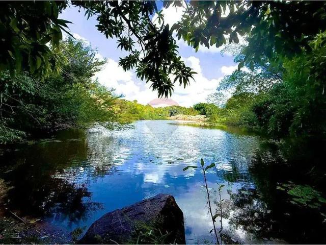 Sítio / Chácara para Venda em Jaboatão dos Guararapes/PE Centro