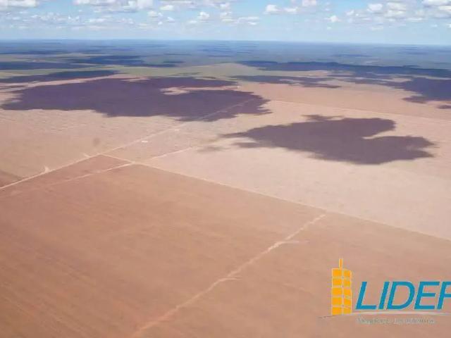 Sítio / Chácara para Venda em Jaborandi/BA Zona Rural