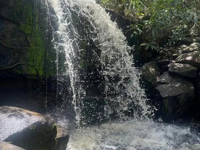 Sítio / Chácara para Venda em Jaboticatubas/MG Capão Do Paiol