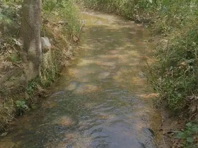 Sítio / Chácara para Venda em Jaboticatubas/MG São José De Almeida 3 Quartos
