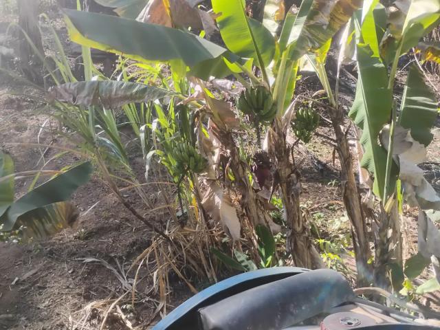 Sítio / Chácara para Venda em Jaboticatubas/MG Zona Rural 2 Quartos