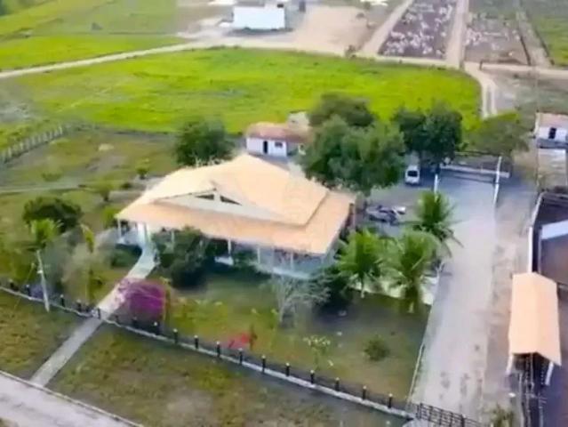Sítio / Chácara para Venda em Jacaraú/PB Centro