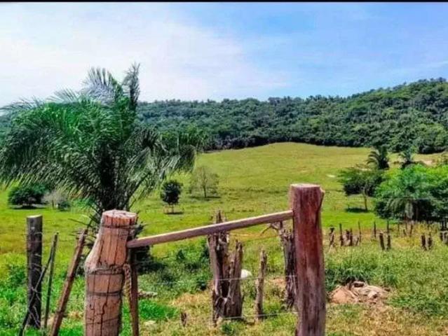 Sítio / Chácara para Venda em Jaciara/MT Centro 5 Quartos