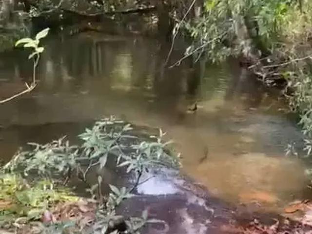 Sítio / Chácara para Venda em Jaciara/MT Zona Rural