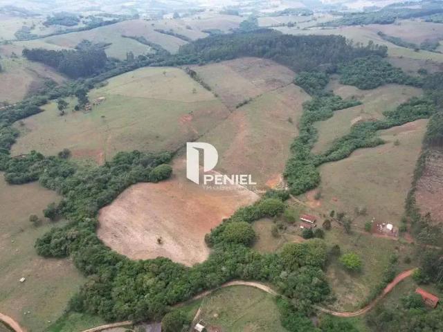 Sítio / Chácara para Venda em Jacuí/MG Zona Rural