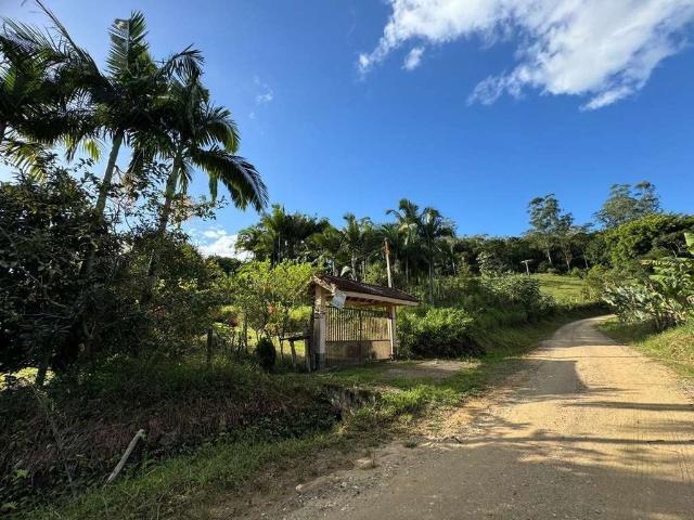 Sítio / Chácara para Venda em Jacupiranga/SP Centro