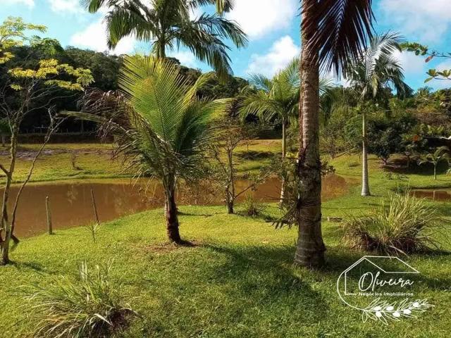 Sítio / Chácara para Venda em Jacupiranga/SP Centro 5 Quartos